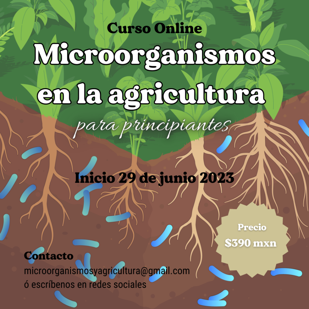 curso Microorganismos en la agricultura – Microorganismos y agricultura